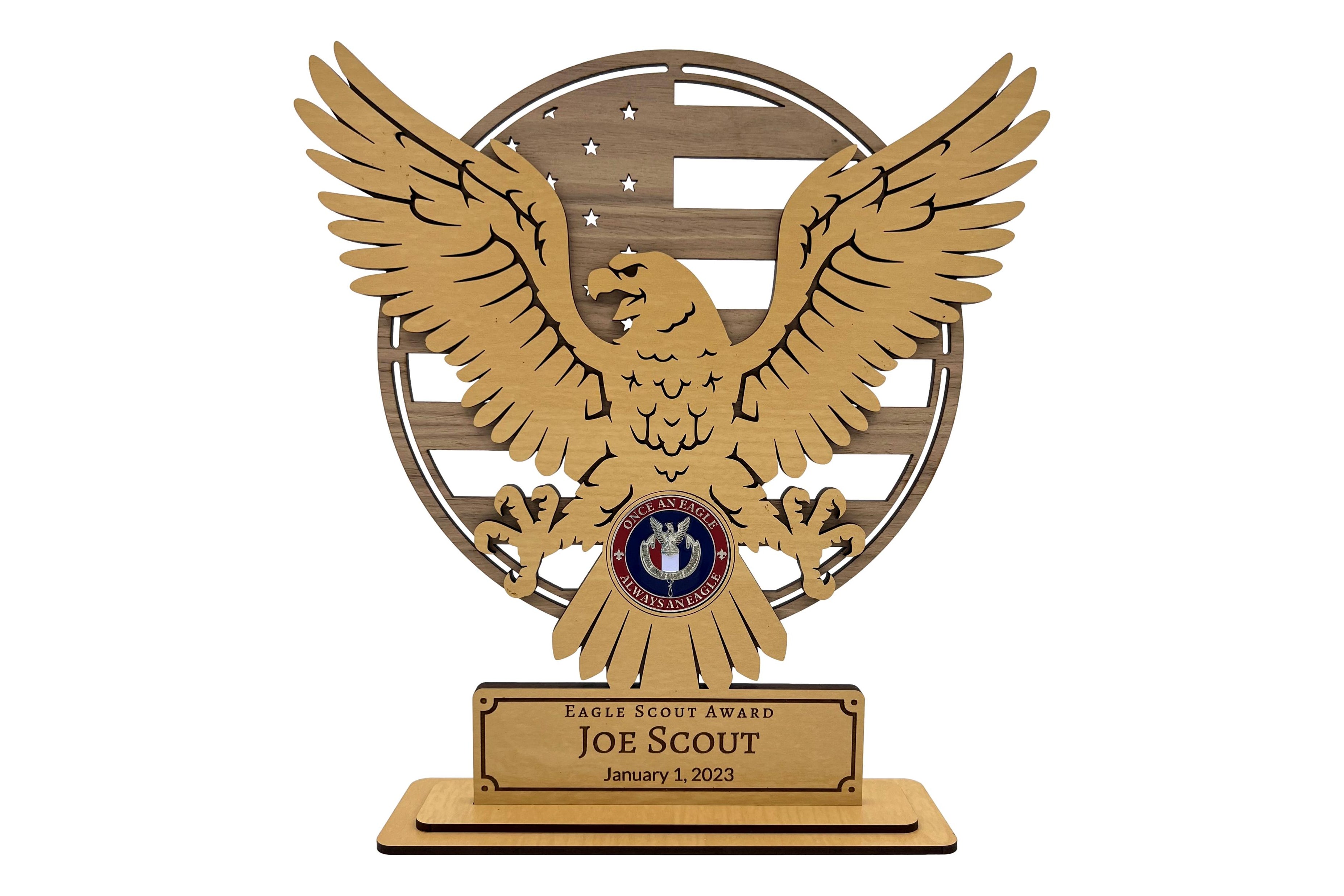 Eagle Award Plaque with Challenge Coin — Eagle Peak Store
