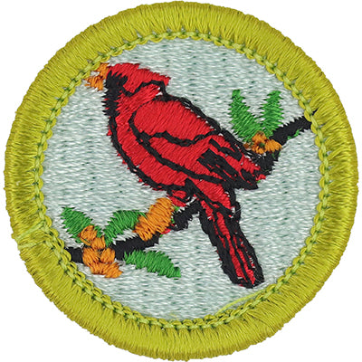 Bird Study Merit Badge — Eagle Peak Store