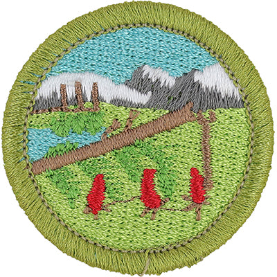 Wilderness Survival Merit Badge — Eagle Peak Store