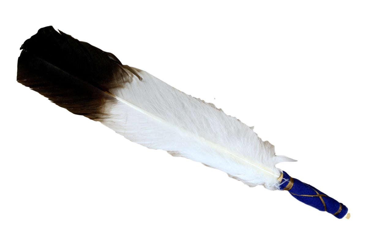 Coup Feather Blue Finished — Eagle Peak Store